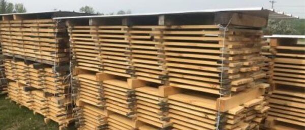 Seasoning of Timber: Methods & Benefits Explained